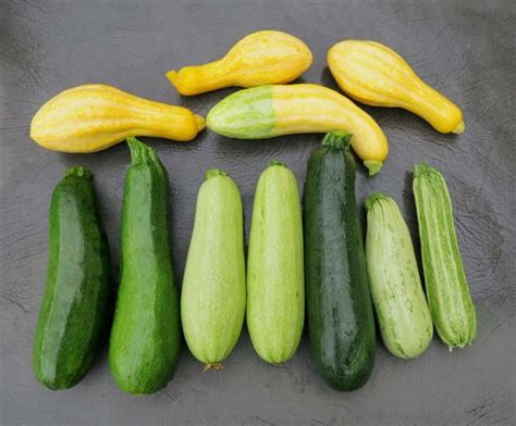 Hand Pollinating Squash Happy Acres Blog