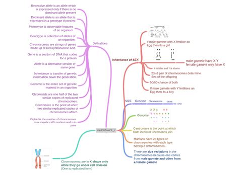 Inheritance1 Coggle Diagram