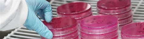 Microbial Proficiency Programs Mérieux Nutrisciences