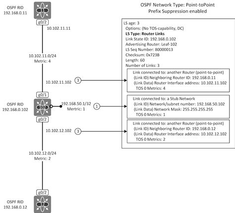 The Network Times Vxlan Underlay Routing Part I Ospf And Dijkstraspf Algorithm