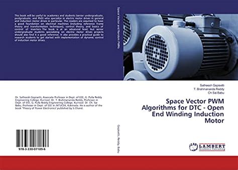 Space Vector Pwm Algorithms For Dtc Open End Winding Induction Motor