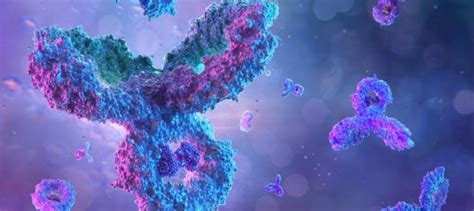 December 2022 Creative Biolabs Adc Blog