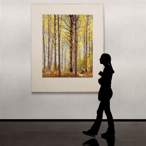 Christopher Burkett Translucent Forest Photography West