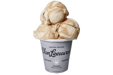 20 Best Van Leeuwen Ice Cream Flavors Ranked