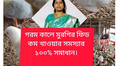 গরম কালে মুরগির ফিড কম খাওয়ার ১০০ সমাধান। Youtube