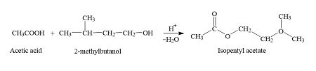 Describe The Procedure For Preparing Isopentyl Acetate Provide The Calculation And All The
