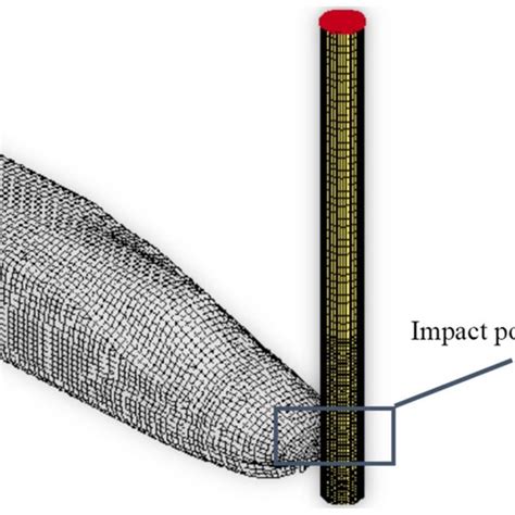 Schematic Of The Train Impact Column Download Scientific Diagram