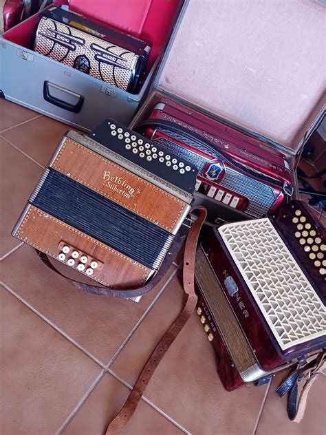 Acordeoes E Concertinas Fregim • Olx Portugal