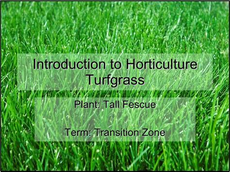 Turf Transition Zone Ppt