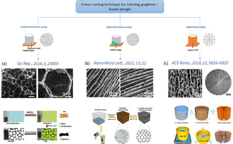 Schematics Of Freeze Casting Techniques And Corresponding Top View