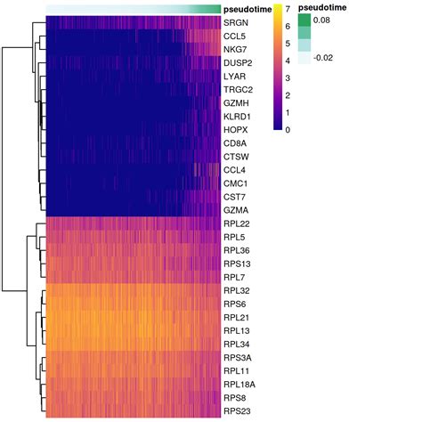 Chapter 17 Pseudotime Analysis Cruk Bioinformatics Summer School 2020 Single Cell Rna Seq