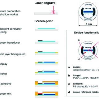 Diagrammatic Representation Of The Fabrication Process And Photographs Download Scientific