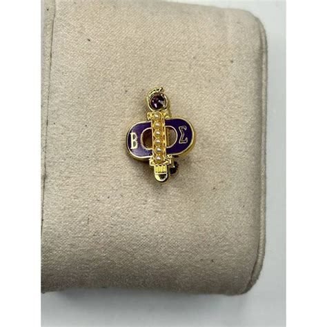 Accessories Vintage Rare Phi Beta Epsilon Fraternity Purple Pin Back