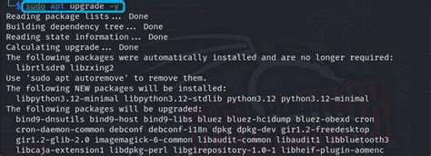How To Update Kali Linux Linuxways