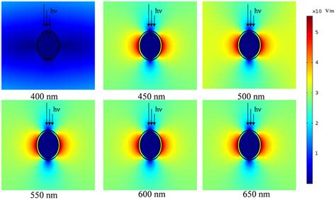 The Simulated Local Electromagnetic Field Based On A 2 D Model The