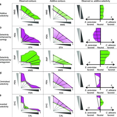 Multiplexed Fungicidal Drug Interaction Assay Illustrates Selectivity