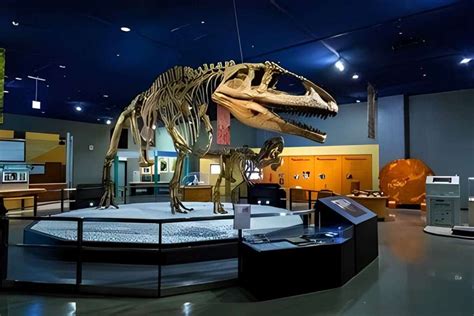 What Are Best 5 Places To Visit In Los Angeles Now