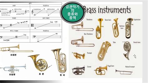 오케스트라문헌세미나 금관악기의 역사 Youtube