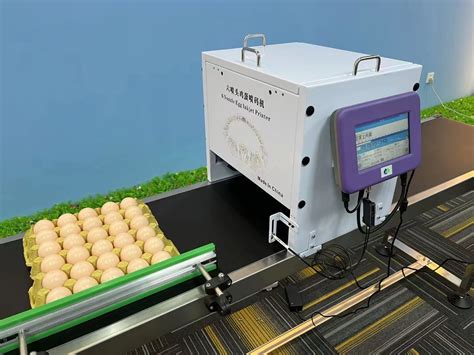 Domino Egg Logo Industrial Inkjet Printer For Eggs