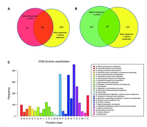 Identification Expression And Cog Analysis Of Proteins Detected In Download Scientific Diagram