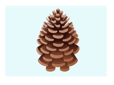 12 Real Life Examples Of The Fibonacci Sequence To Understand It Better Number Dyslexia