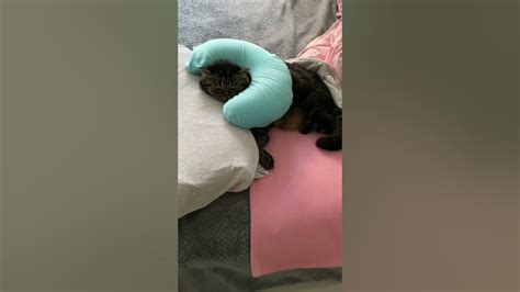 손님 여기서 이러시면 안됩니다 Youtube