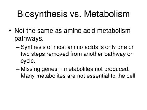 Ppt Amino Acid Biosynthesis Powerpoint Presentation Free Download Id 1436731