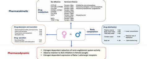Differences In Pharmacokinetic And Pharmacodynamic In Male And Female Download Scientific