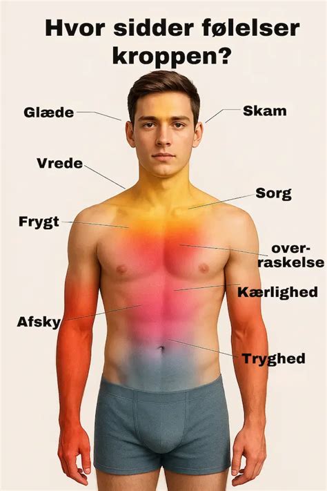 Hvor Sidder Følelser I Kroppen Se Dine Krops Emotionelle Tegn Her