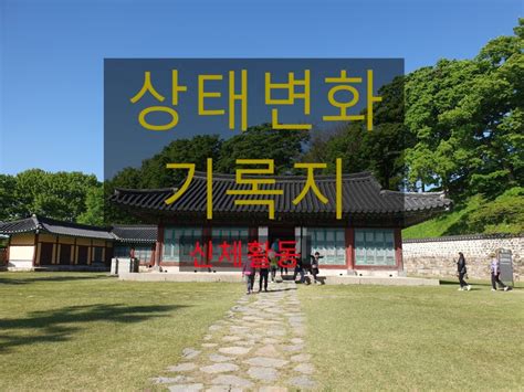 상태변화기록지 샘플 예제 100건 신체활동 1 네이버 블로그