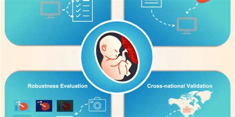 Ai Tool Analyzes Placentas At Birth Enhancing Maternal And Neonatal Care Prevention Is Better