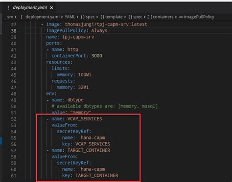 sap developers running sap cloud application programming model with