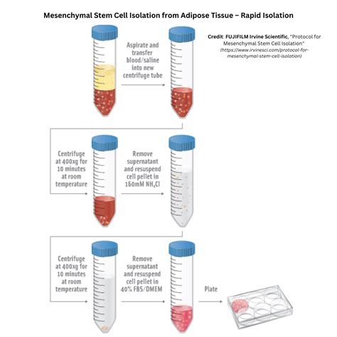 Mesenchymal Stem Cell Isolation Protocol Smart Biomaterials And µ Solutions Smart Mcs