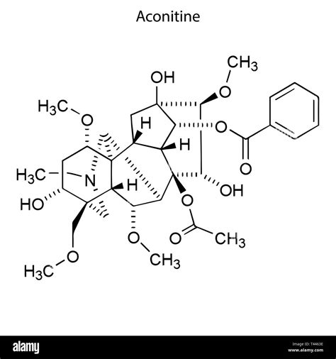 Skeletal Formula Of Aconitine Chemical Molecule Stock Vector Image And Art Alamy