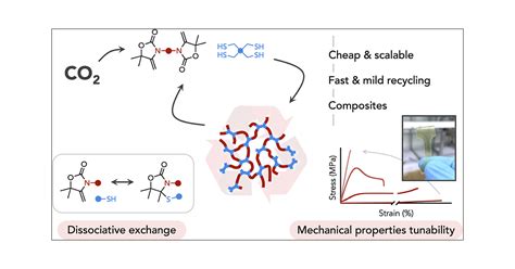 Covalent Adaptable Networks Through Dynamic N S Acetal Chemistry Toward Recyclable Co2 Based
