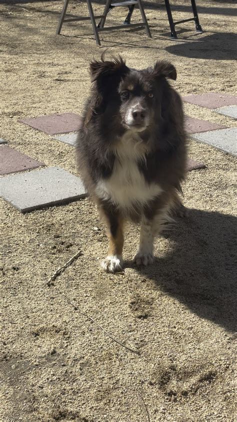 A Catch And Tiny Taps Rtippytaps