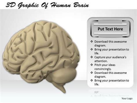 Stock Photo D Graphic Of Human Brain PowerPoint Template