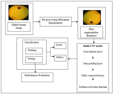 Computer Vision System For Mango Fruit Defect Detection Using Deep