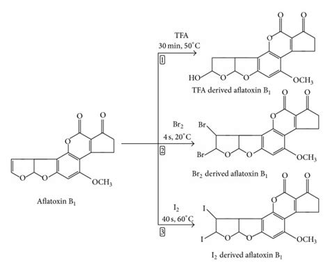 Methods For Detection Of Aflatoxins In Agricultural Food Crops Wacoo 2014 Journal Of