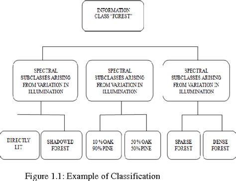 figure 1 1 from data classification particle swarm optimization and gravitational search
