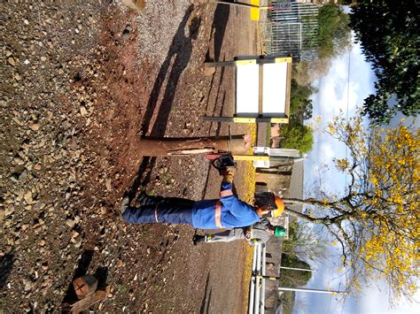 Treinamento De Nr 12 Uso De Motosserra Instalações Elétricas Treinamentos Nr 10 Nr 11 Passo