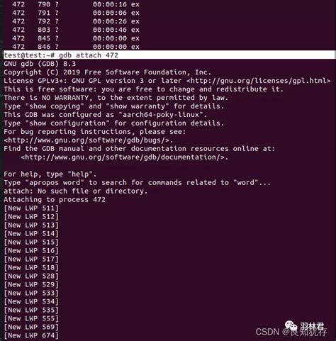linux下定位异常消耗的线程实战分析 主机测评网