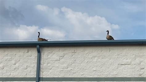 სამუშაო პროცესი რას ვაკეთებთ Youtube