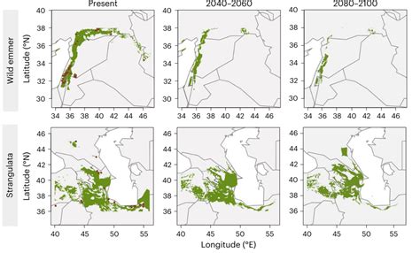 文献精读丨np 小麦群体演化历史population Genomics Unravels The Holocene History Of