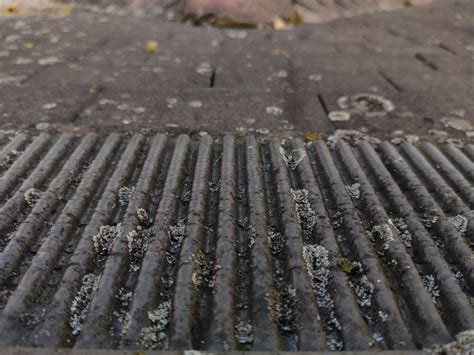 Xiaomi Mi T Pro Review Digital Camera World