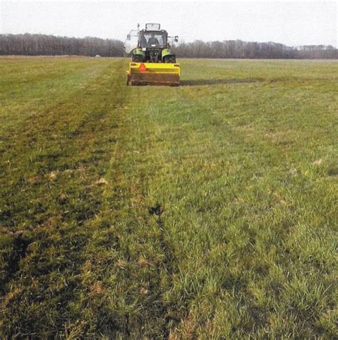 Short Term And Highly Productive Grass And Legume Species In Permanent