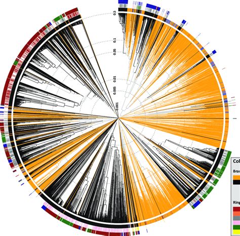 Proteomic Tree The Dendrogram Represents Proteome Wide Similarity