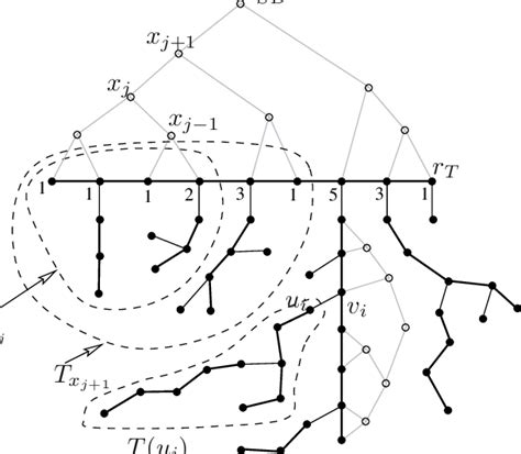 A Typical Spine Decomposition Spines Are Shown In Thick Lines Search