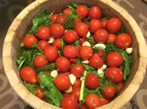 Соление помидоров в дубовой бочке рецепты в домашних условиях своими руками