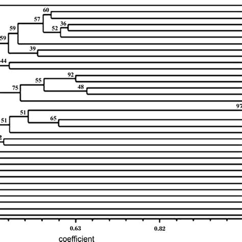 Dendrogram Generated Using Jaccards Coefficient For Classification Of